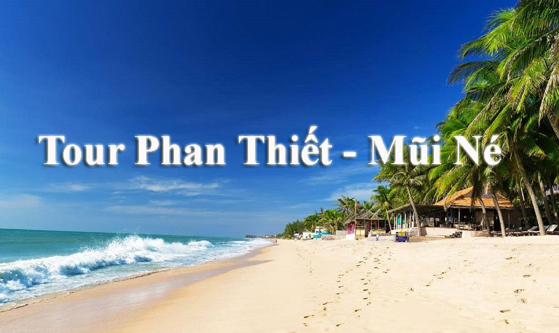 Tour Phan Thiết - Mũi Né - Nova Dreams - Mango Beach - Tắm Bùn Khoáng ...